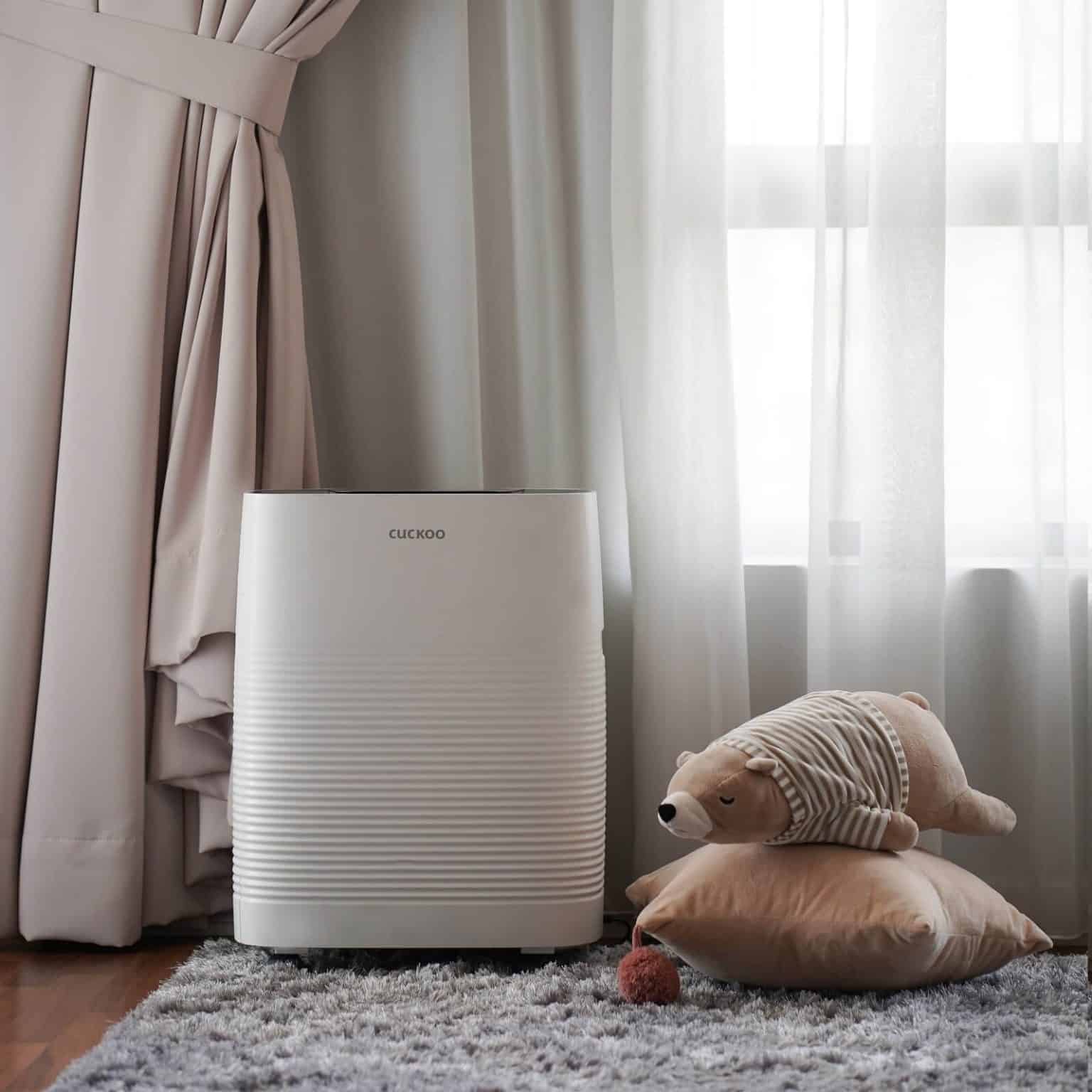 C Plus: Air Purifier and Humidifier in One | CUCKOO Official MY