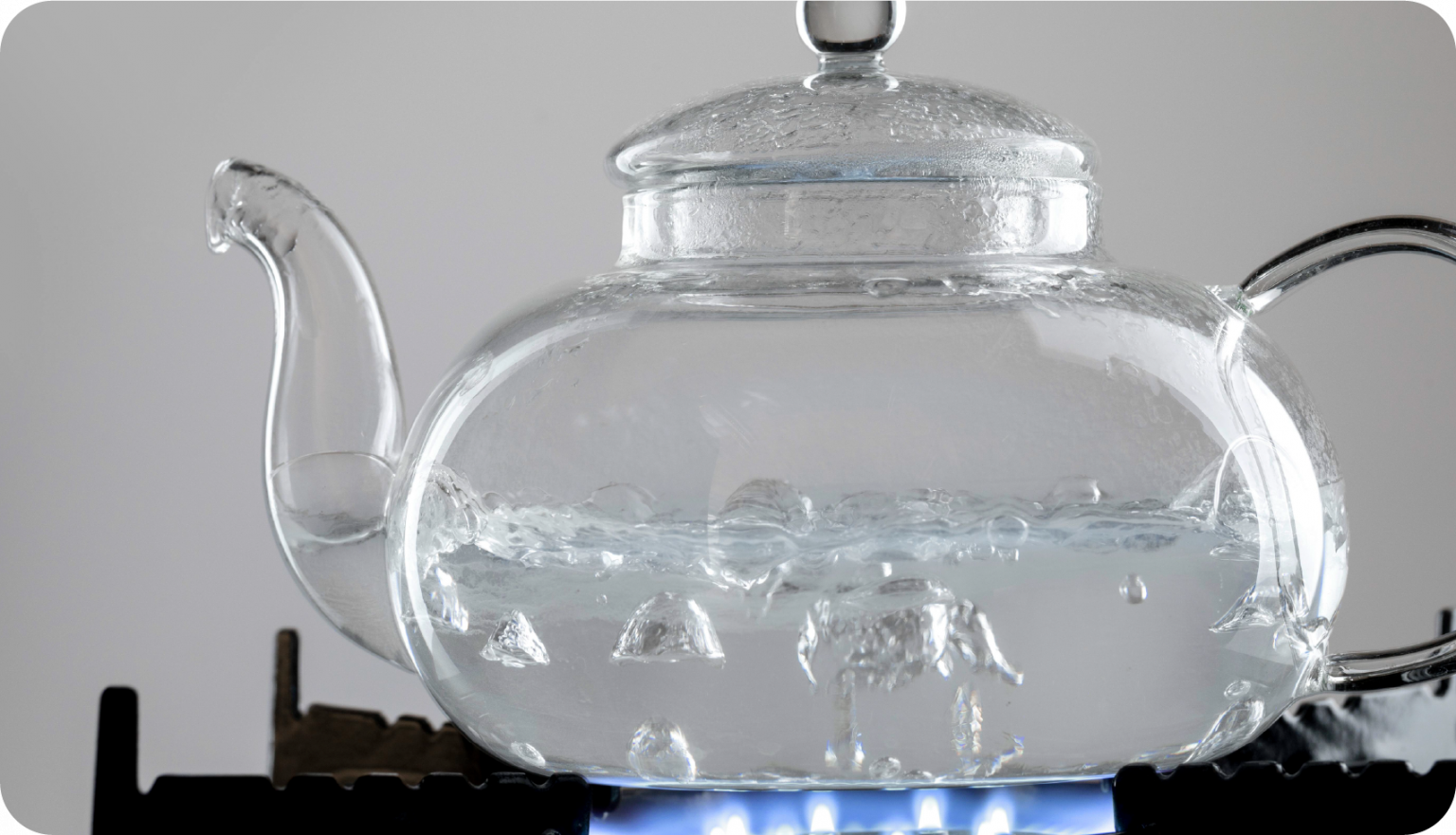 How to Sterilise Water in Your House | CUCKOO Official MY